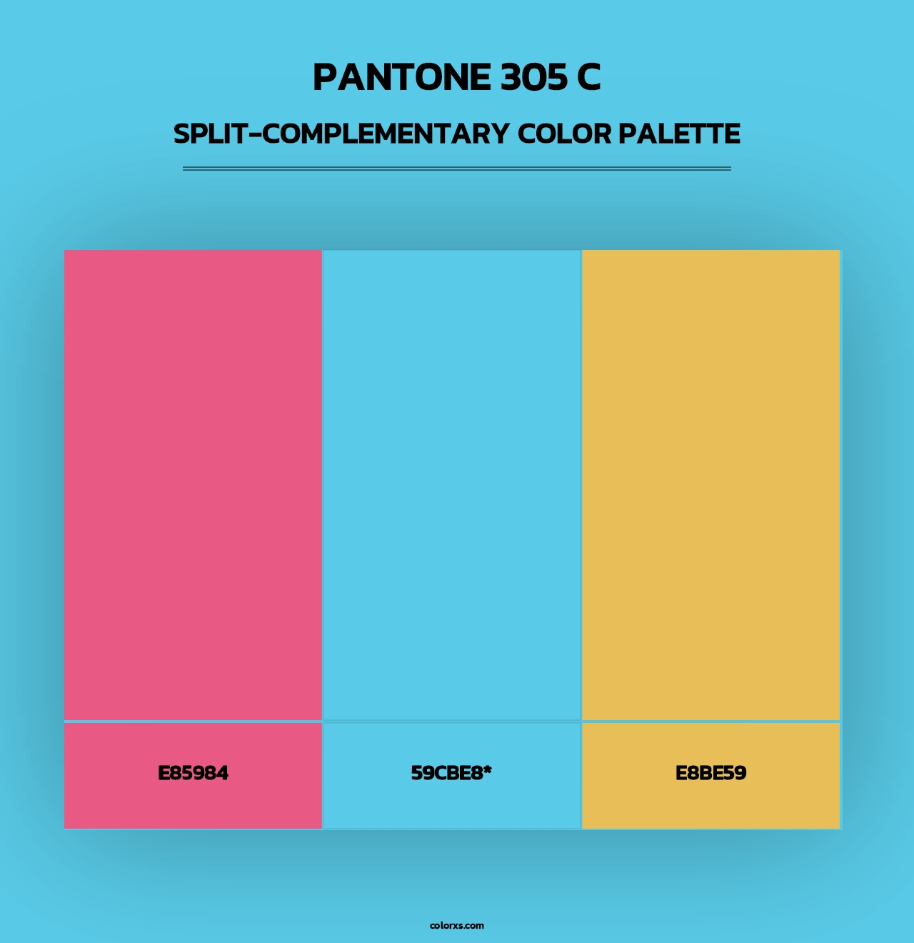 PANTONE 305 C color palettes - colorxs.com