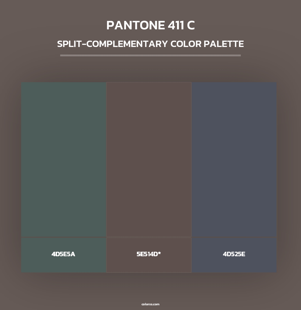 PANTONE 411 C color palettes - colorxs.com
