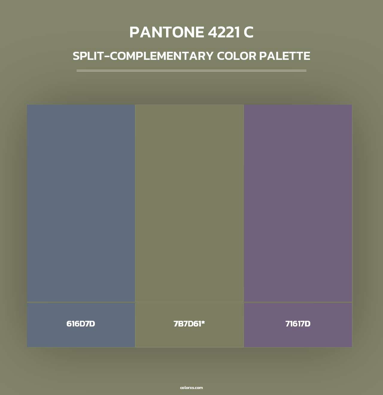 PANTONE 4221 C color palettes - colorxs.com