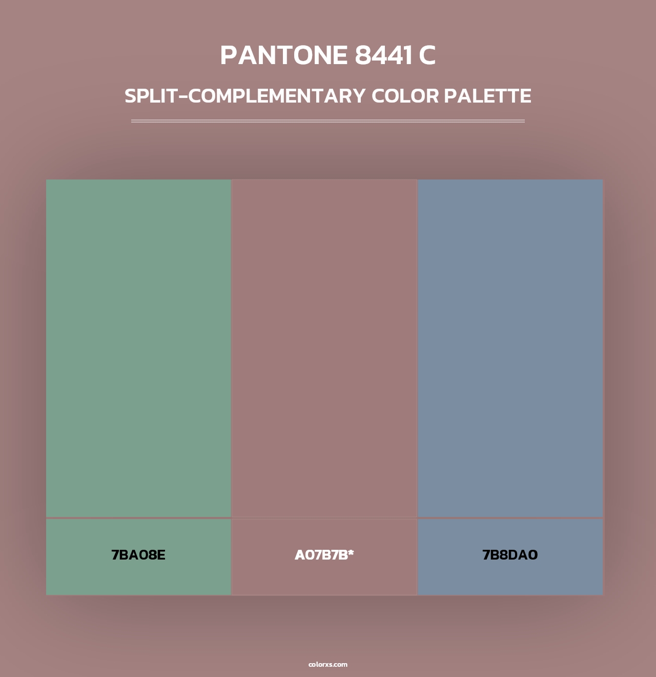 PANTONE 8441 C color palettes - colorxs.com