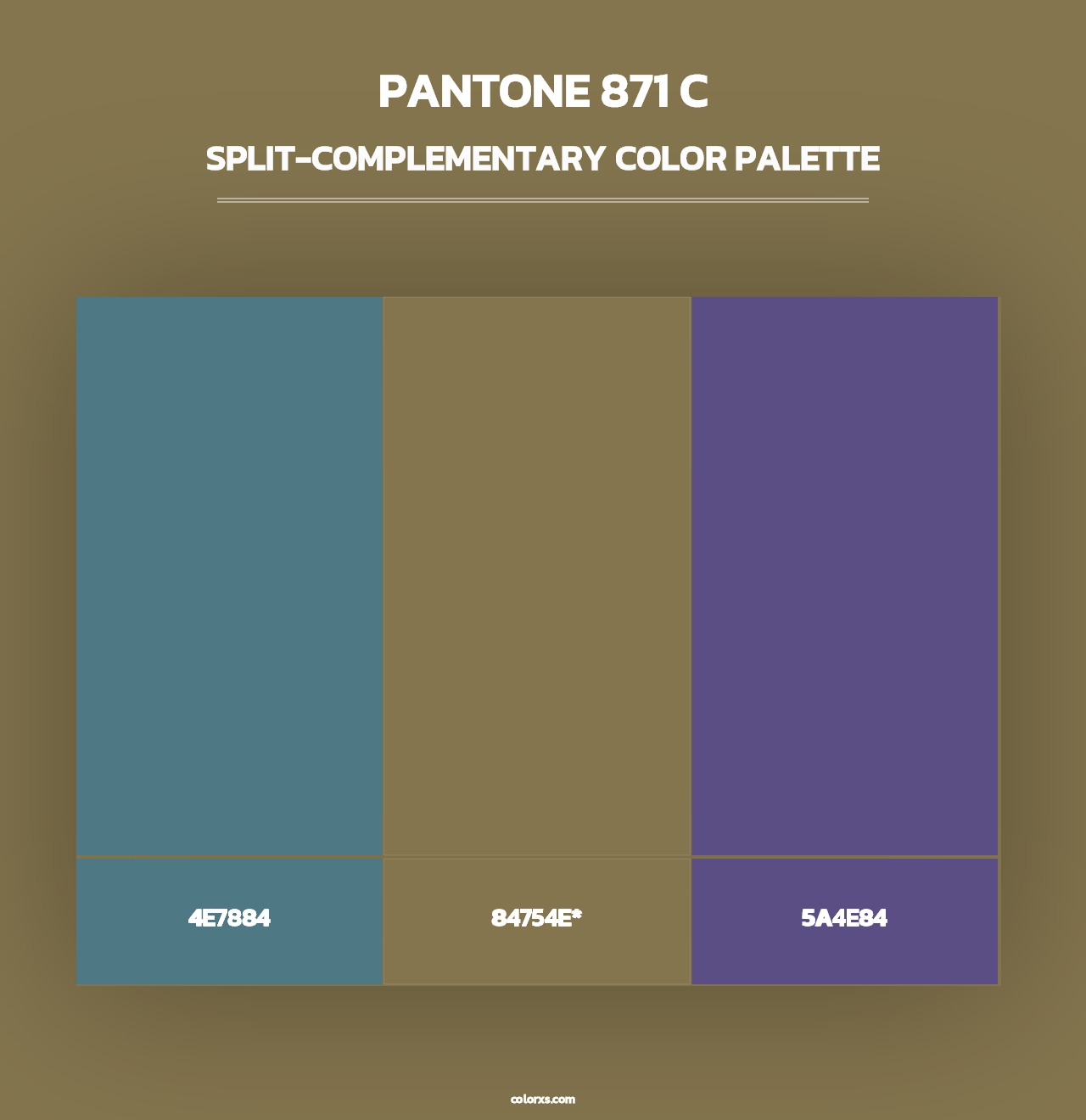 PANTONE 871 C color palettes - colorxs.com