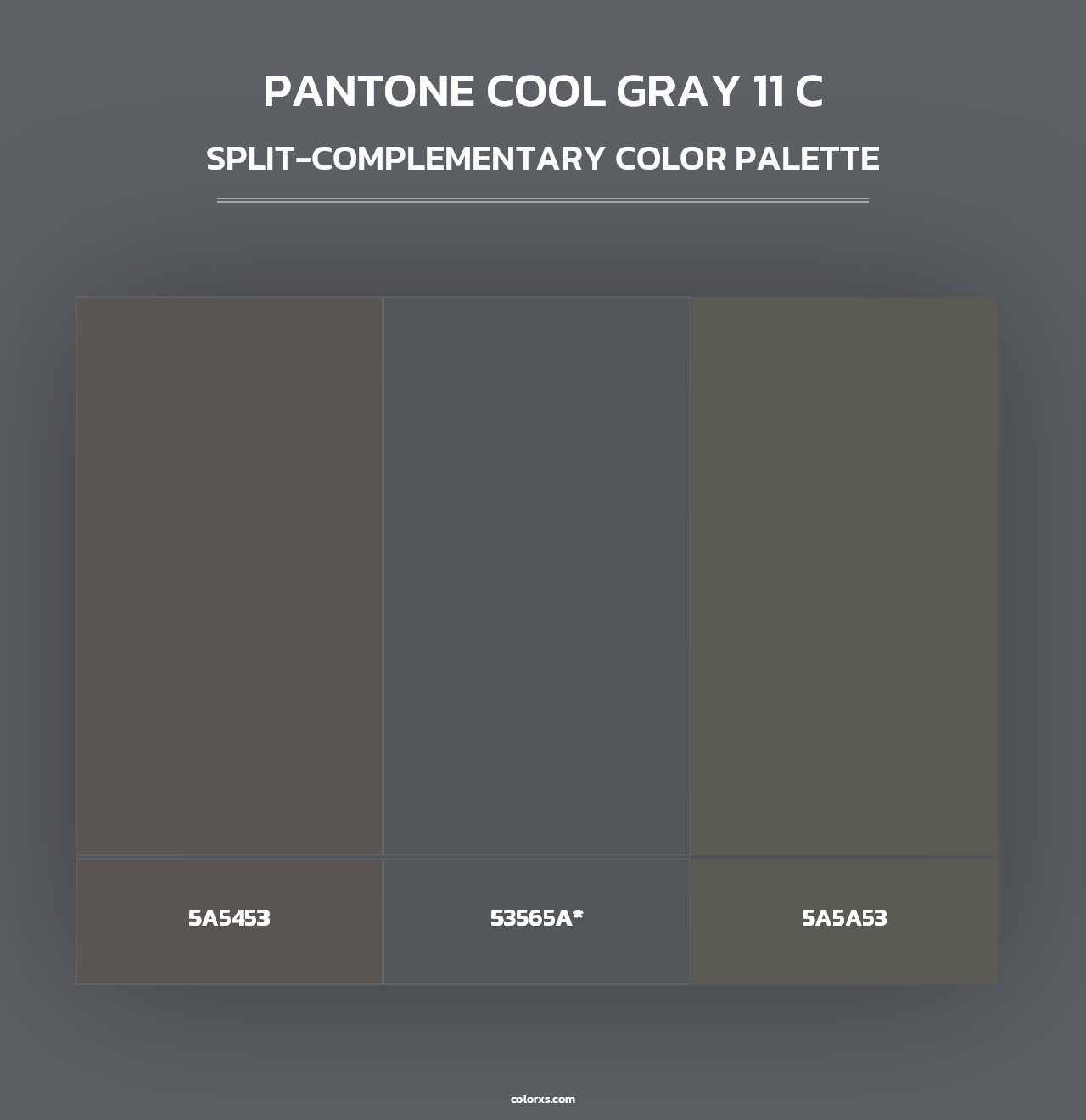 PANTONE Cool Gray 11 C color palettes - colorxs.com