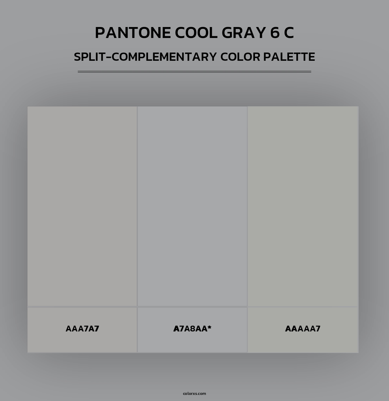PANTONE Cool Gray 6 C color palettes - colorxs.com