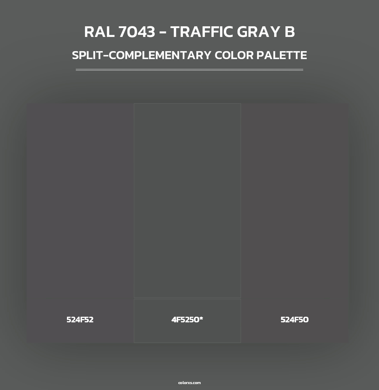 RAL 7043 - Traffic Gray B color palettes - colorxs.com