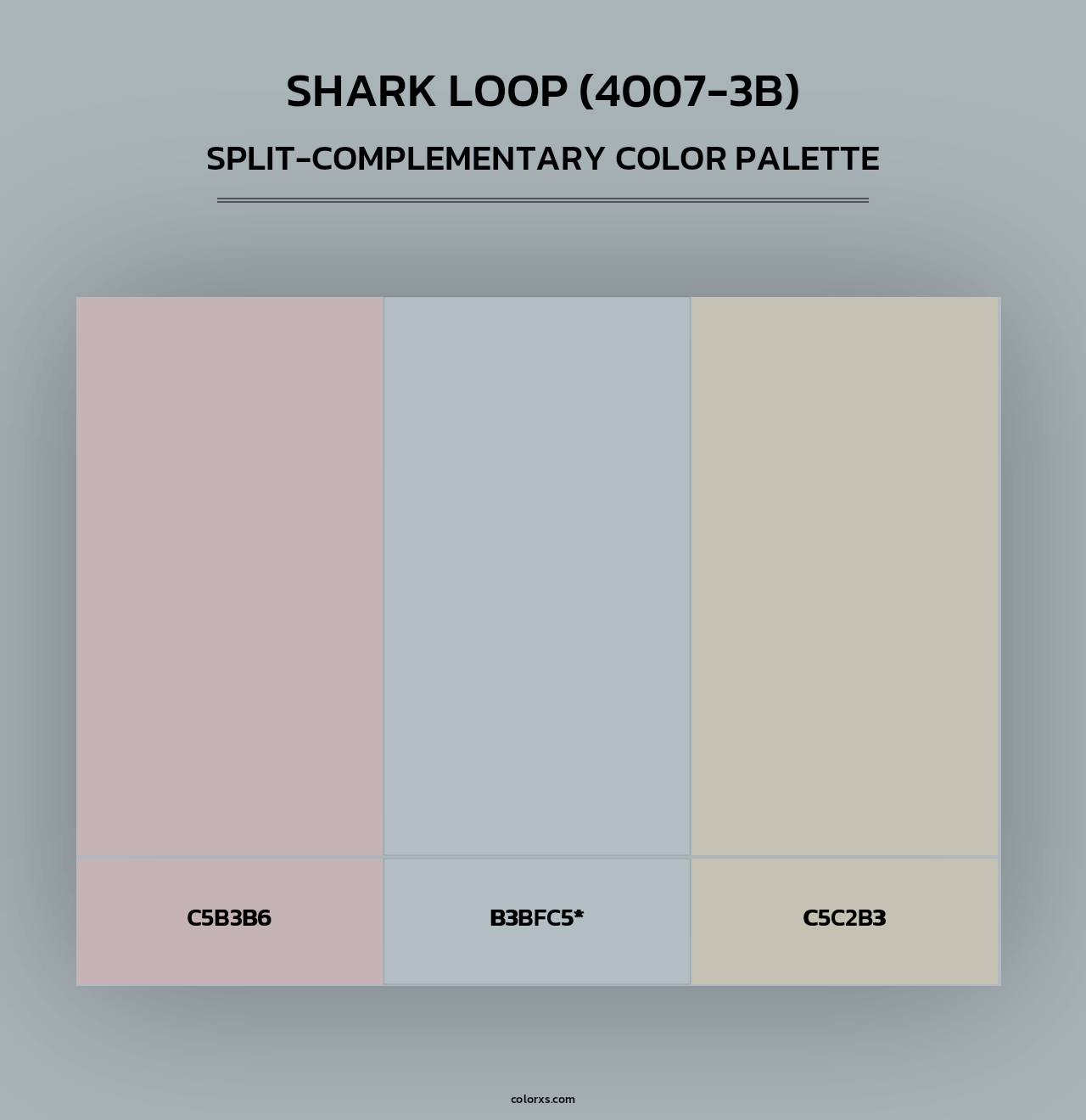 Valspar Shark Loop (4007-3B) Paint coordinating colors and palettes ...