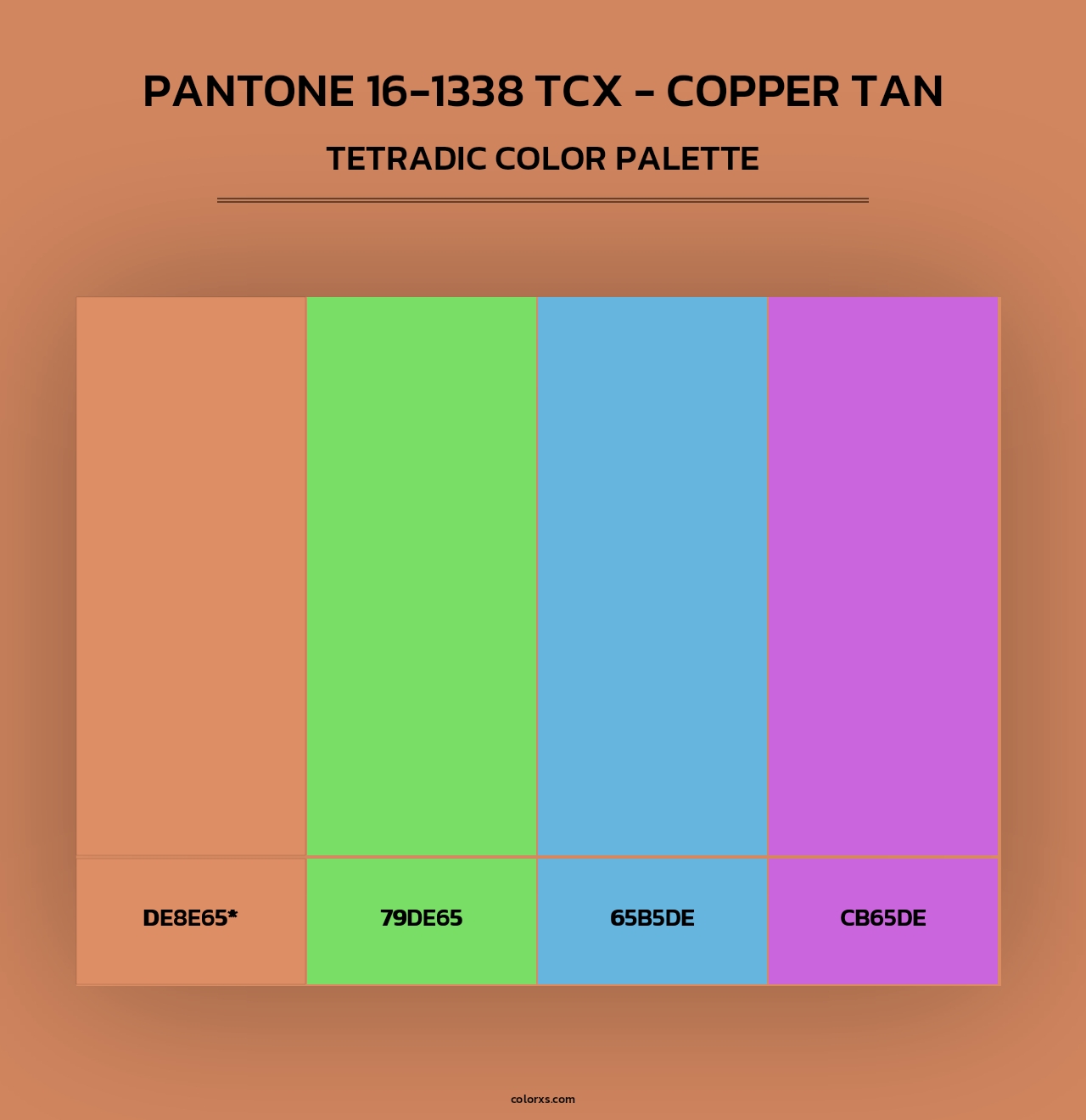 PANTONE 16-1338 TCX - Copper Tan color palettes - colorxs.com