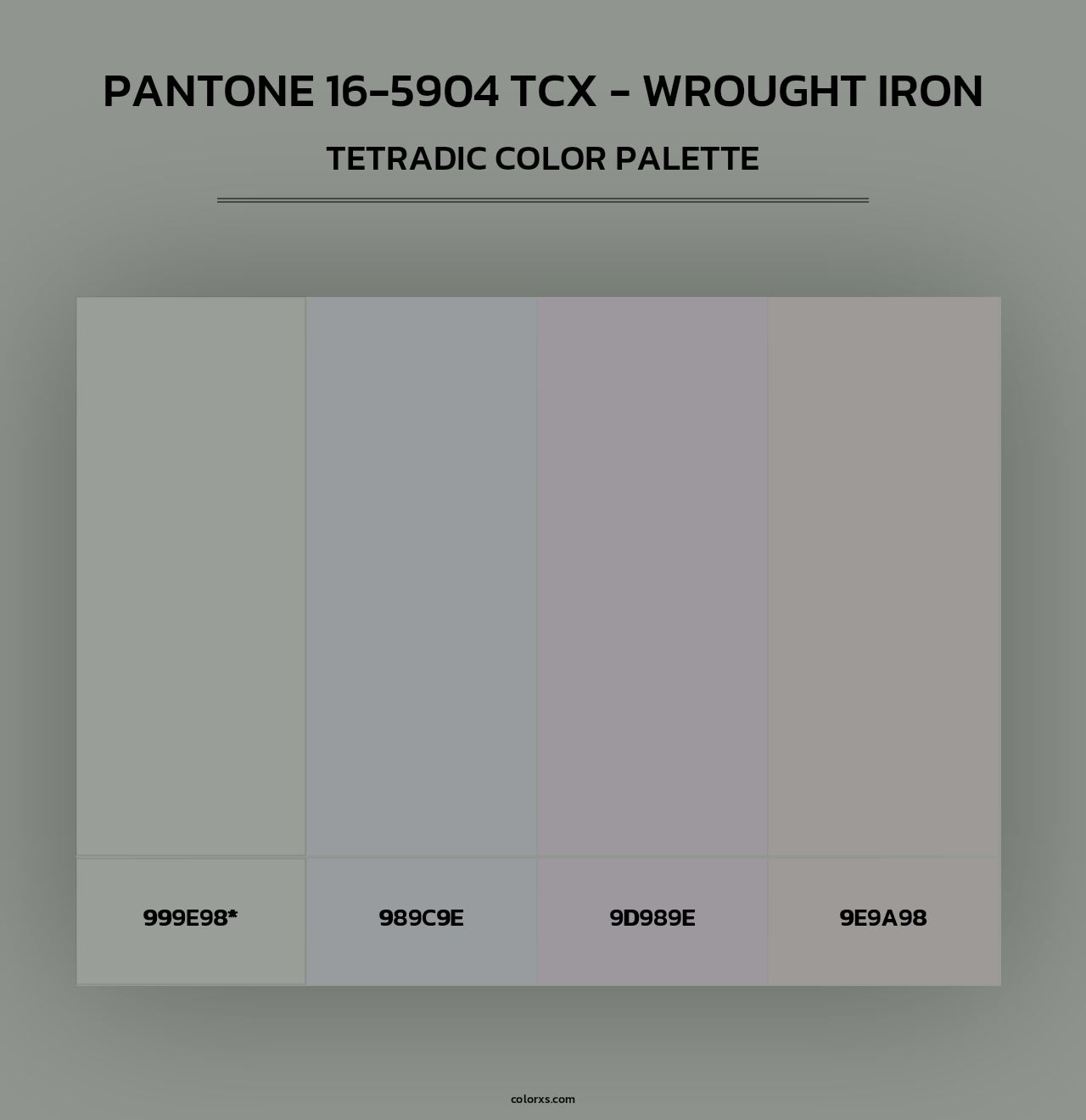 PANTONE 16-5904 TCX - Wrought Iron color palettes - colorxs.com