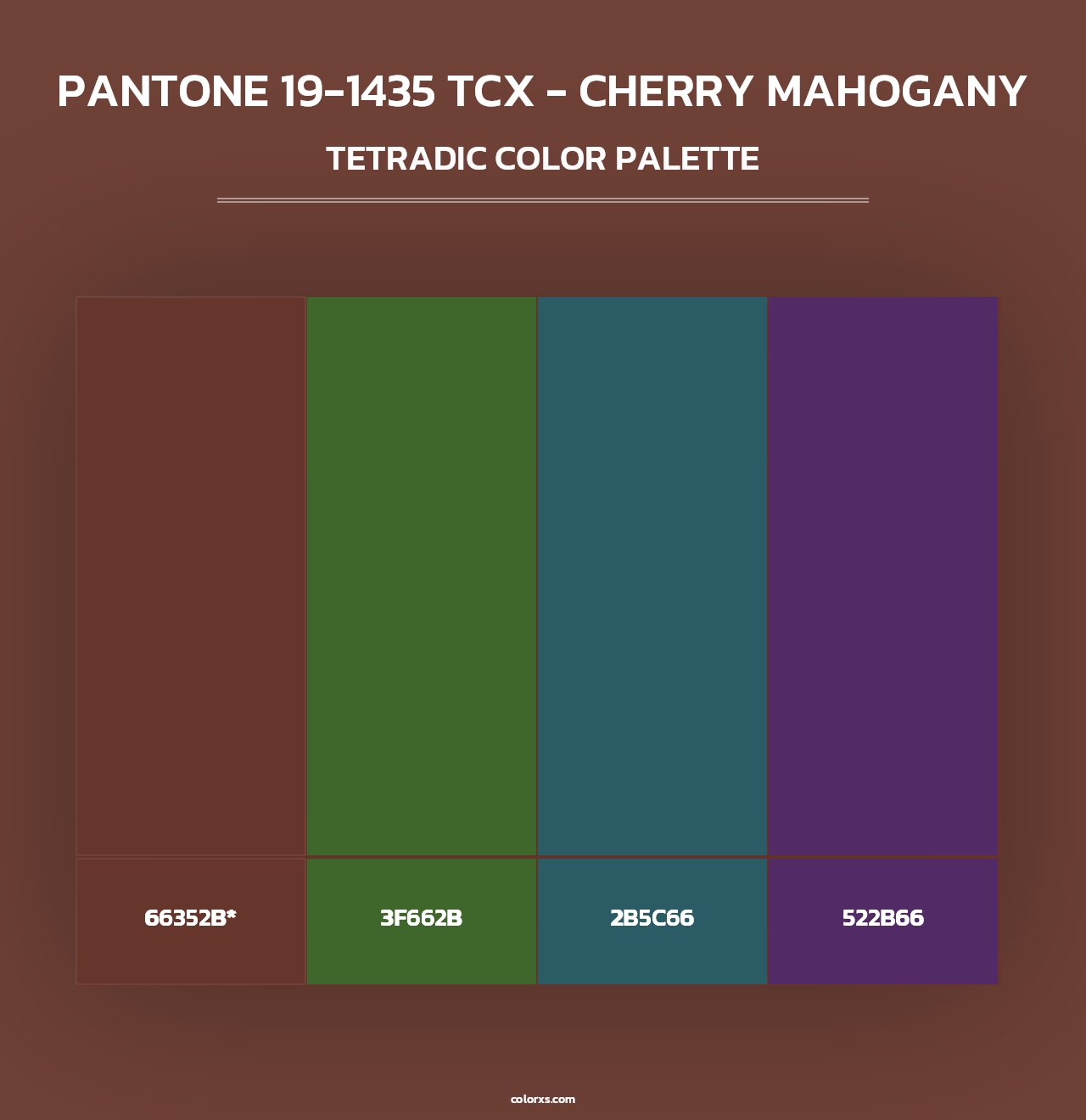 PANTONE 19-1435 TCX - Cherry Mahogany color palettes - colorxs.com
