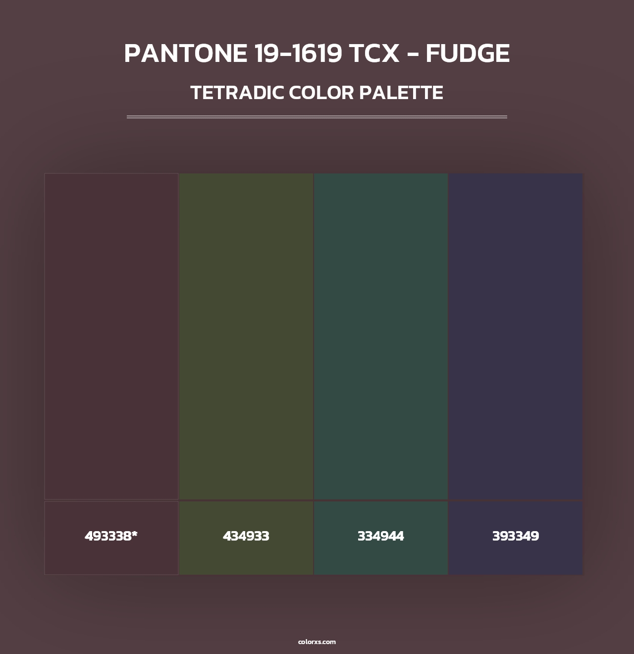 PANTONE 19-1619 TCX - Fudge color palettes - colorxs.com