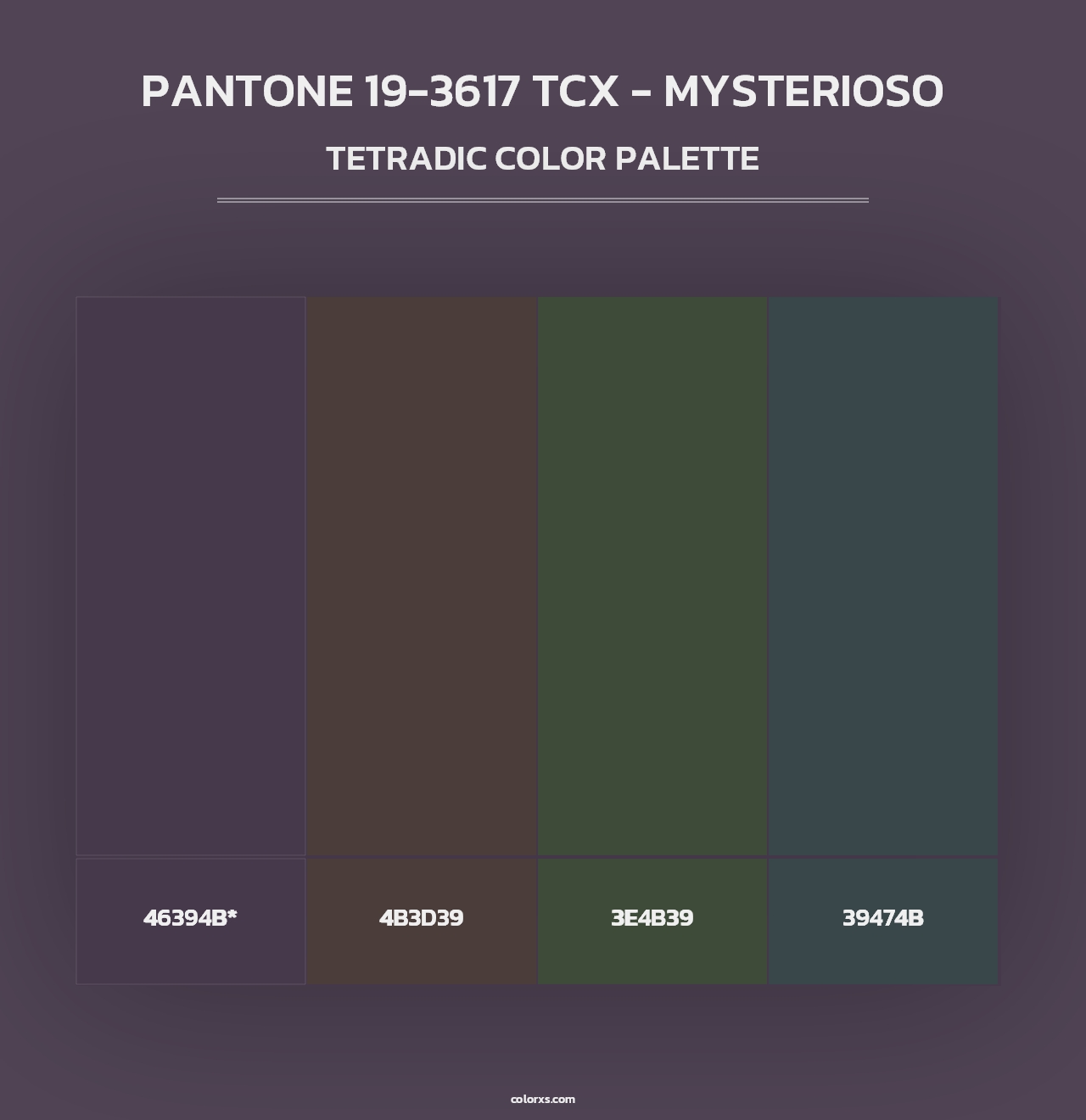 PANTONE 19-3617 TCX - Mysterioso color palettes - colorxs.com