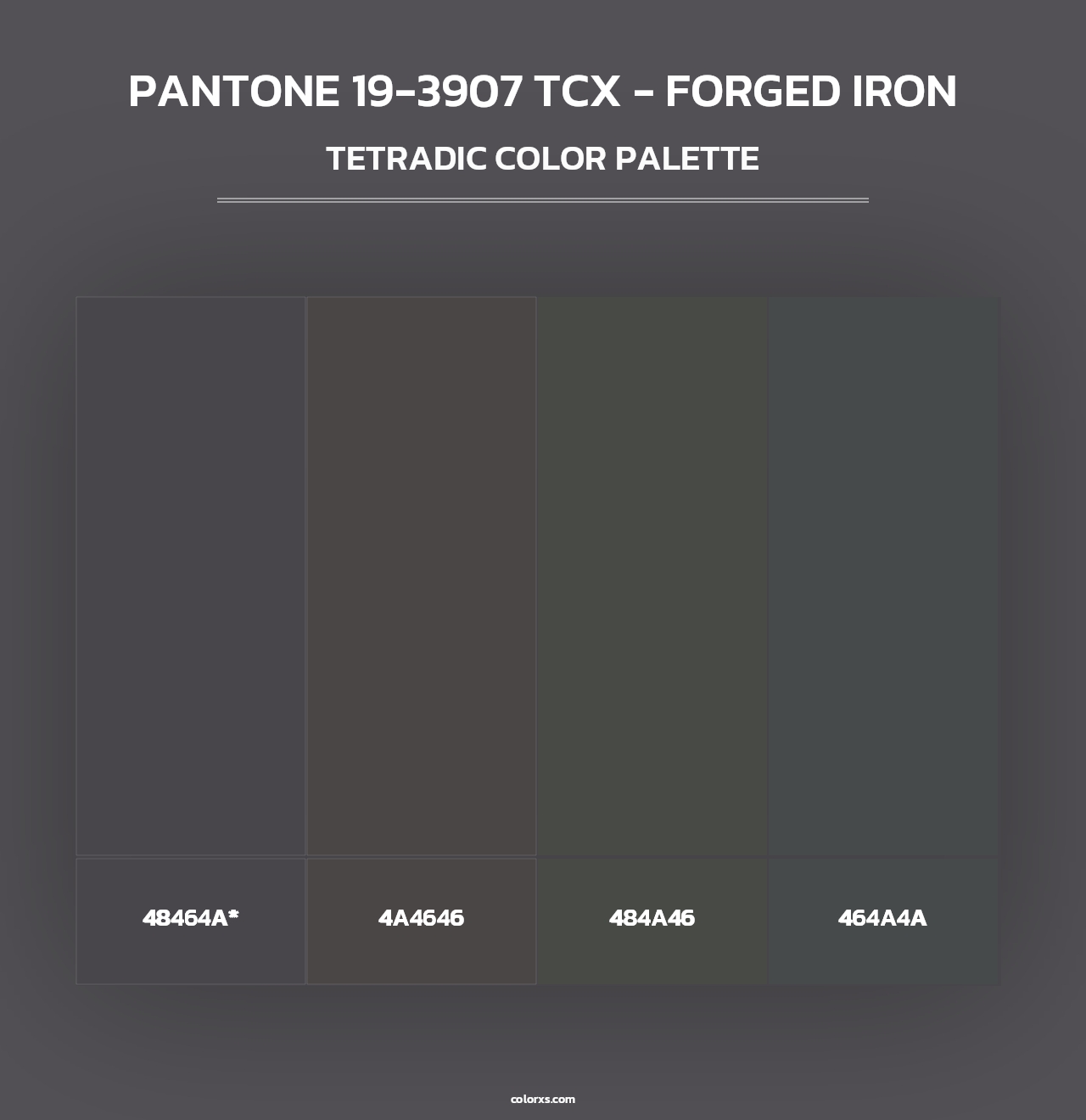 PANTONE 19-3907 TCX - Forged Iron color palettes - colorxs.com