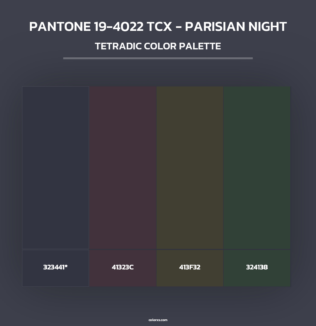PANTONE 19-4022 TCX - Parisian Night color palettes - colorxs.com