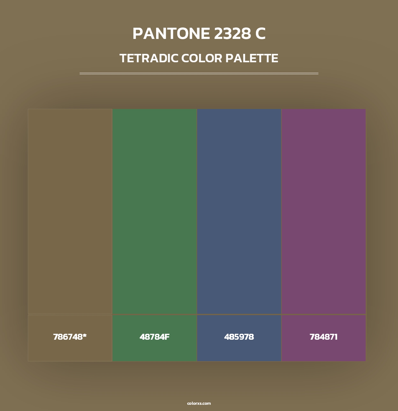 PANTONE 2328 C color palettes - colorxs.com