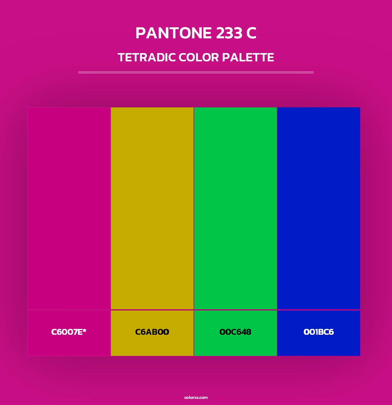 PANTONE 233 C color palettes - colorxs.com