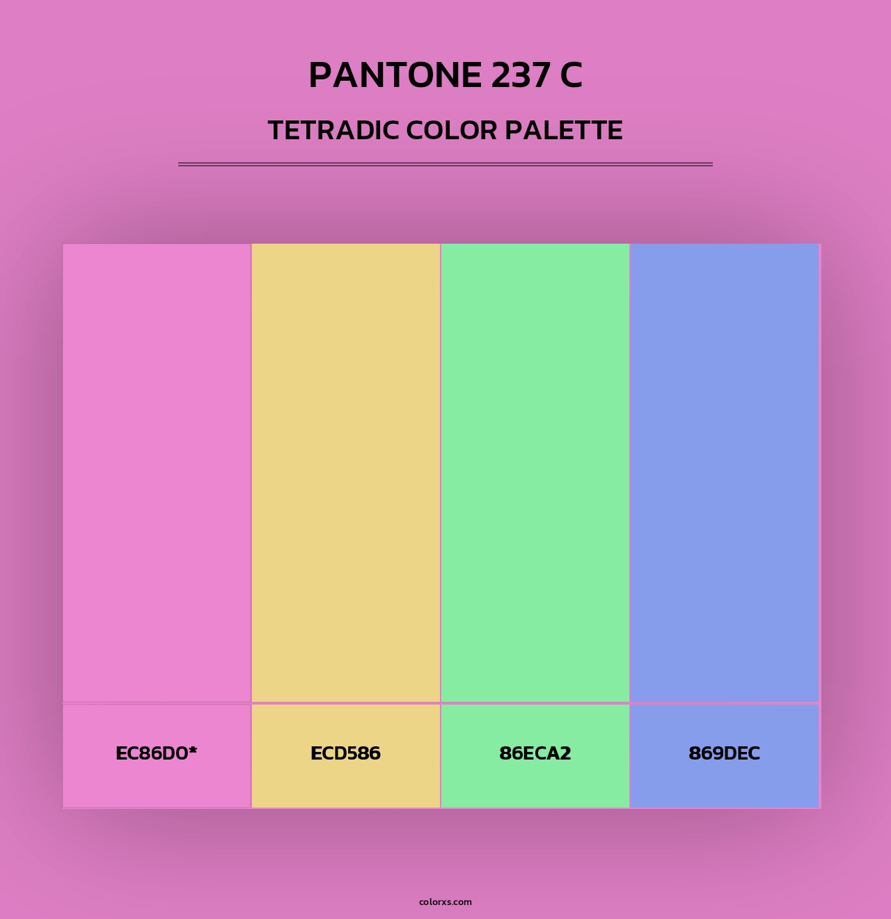 PANTONE 237 C color palettes - colorxs.com