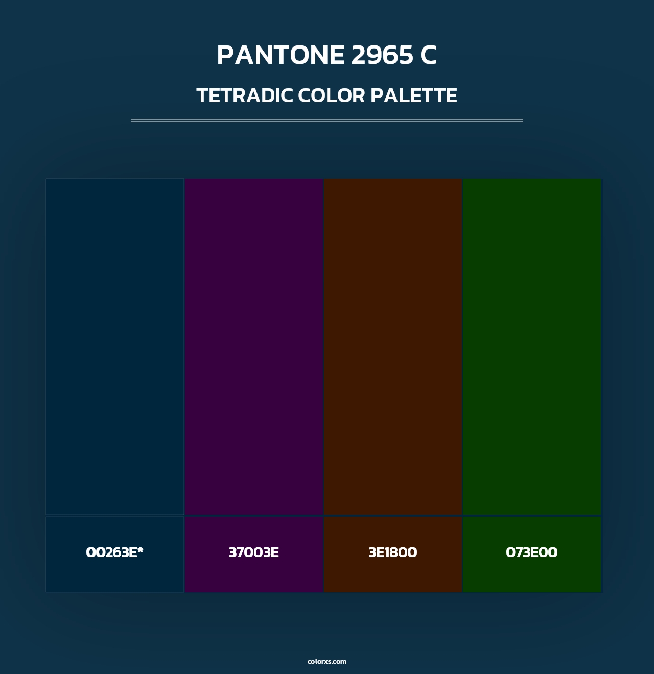 PANTONE 2965 C color palettes - colorxs.com
