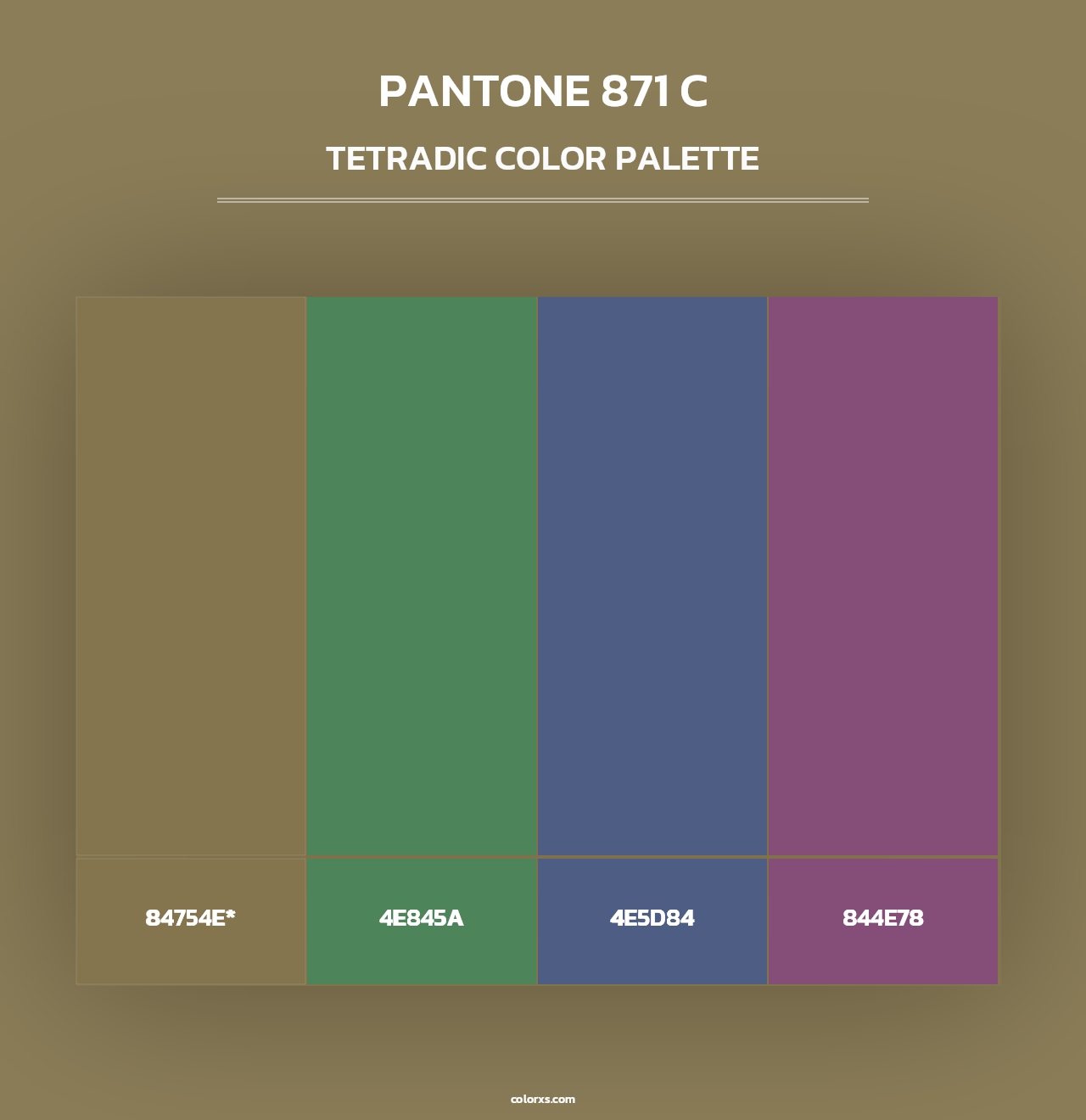 PANTONE 871 C color palettes - colorxs.com
