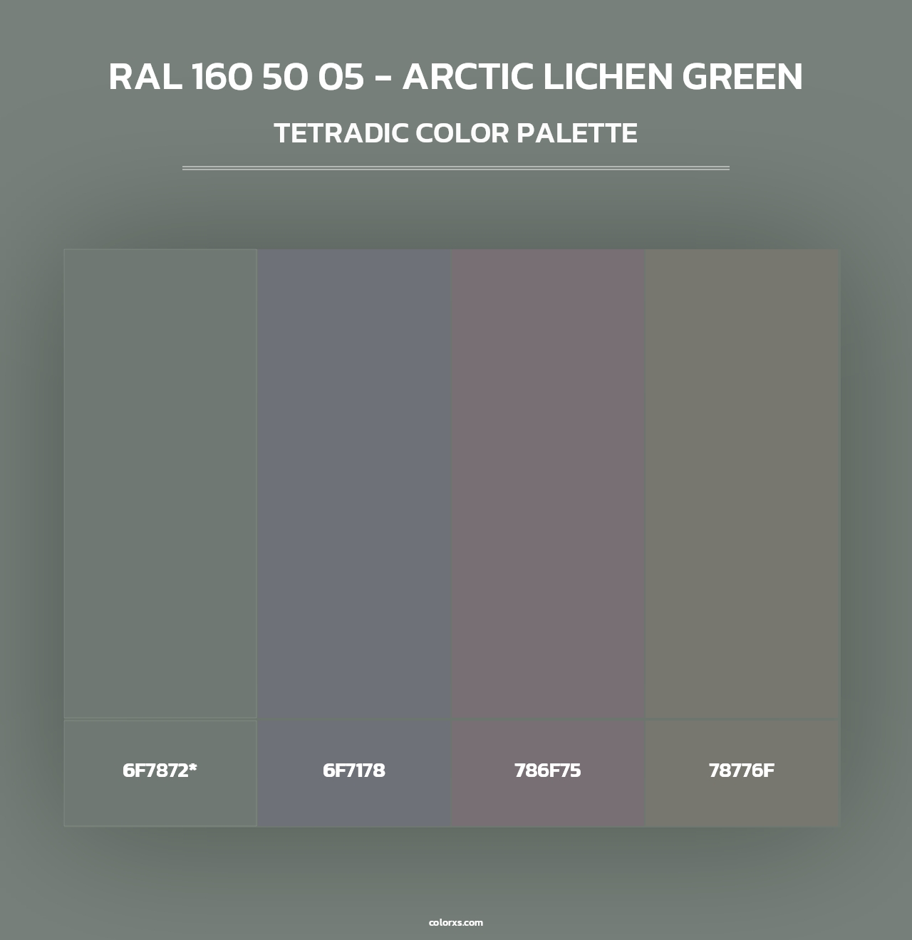 RAL 160 50 05 - Arctic Lichen Green color palettes - colorxs.com