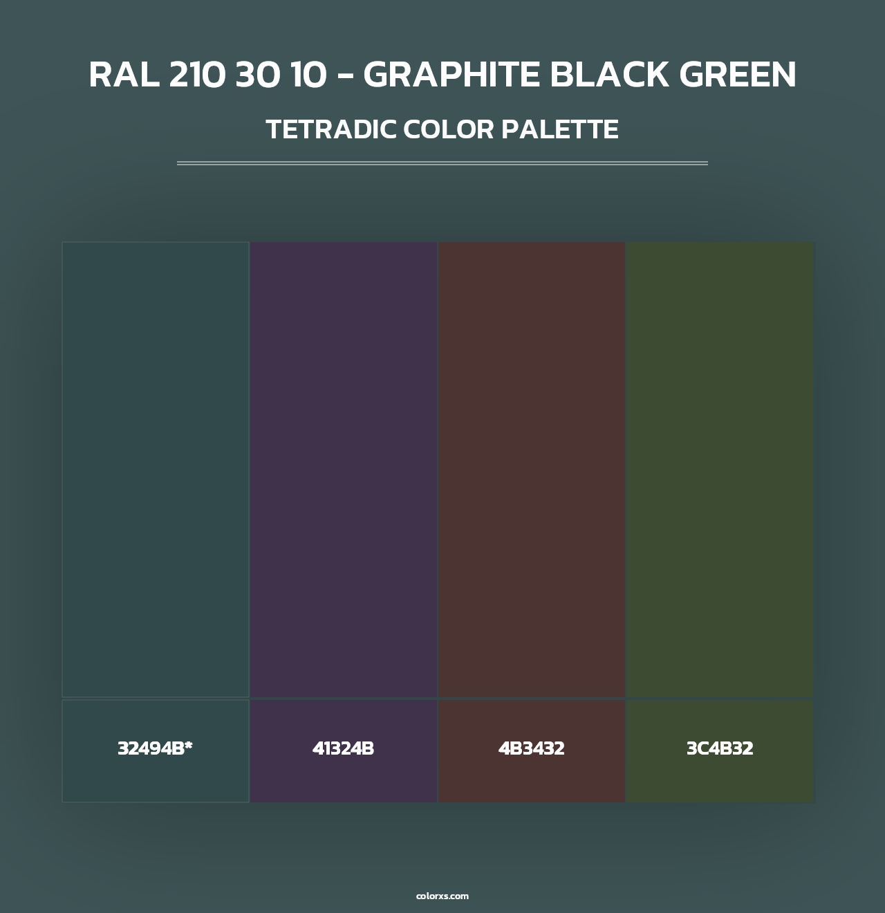RAL 210 30 10 - Graphite Black Green color palettes - colorxs.com