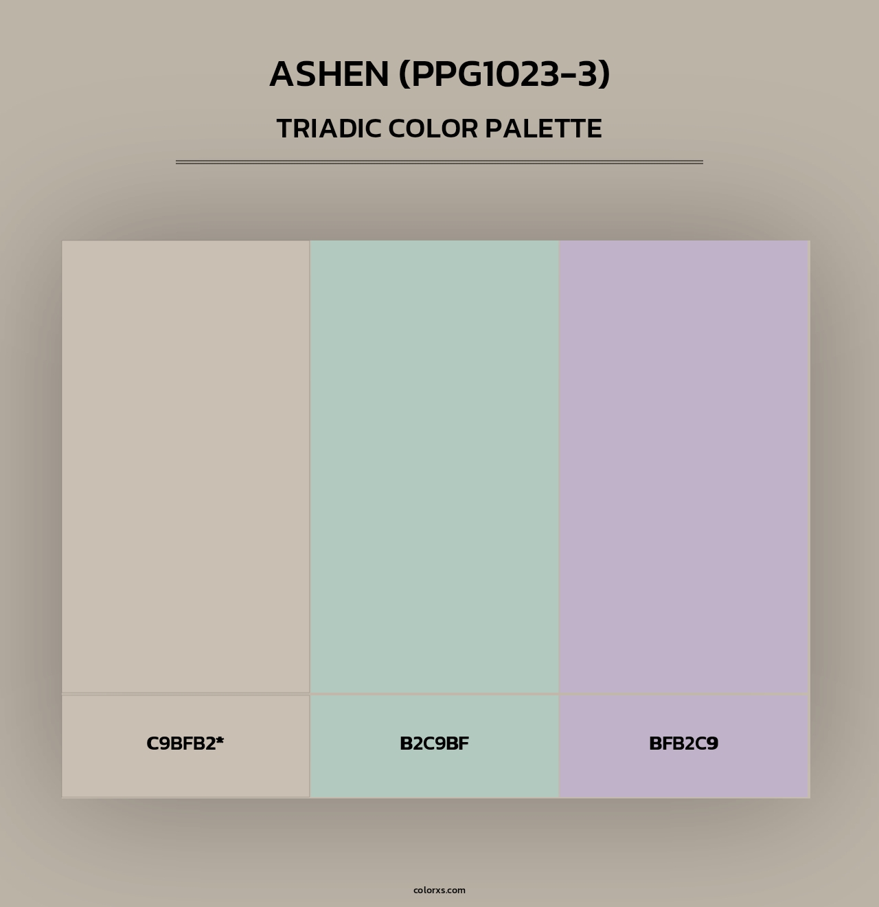 PPG Paints Ashen (PPG1023-3) Paint coordinating colors and palettes ...
