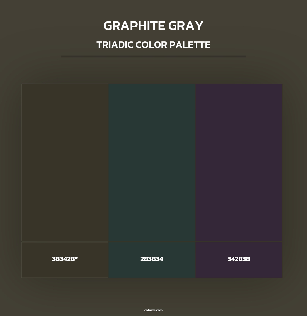 Graphite Gray color palettes - colorxs.com