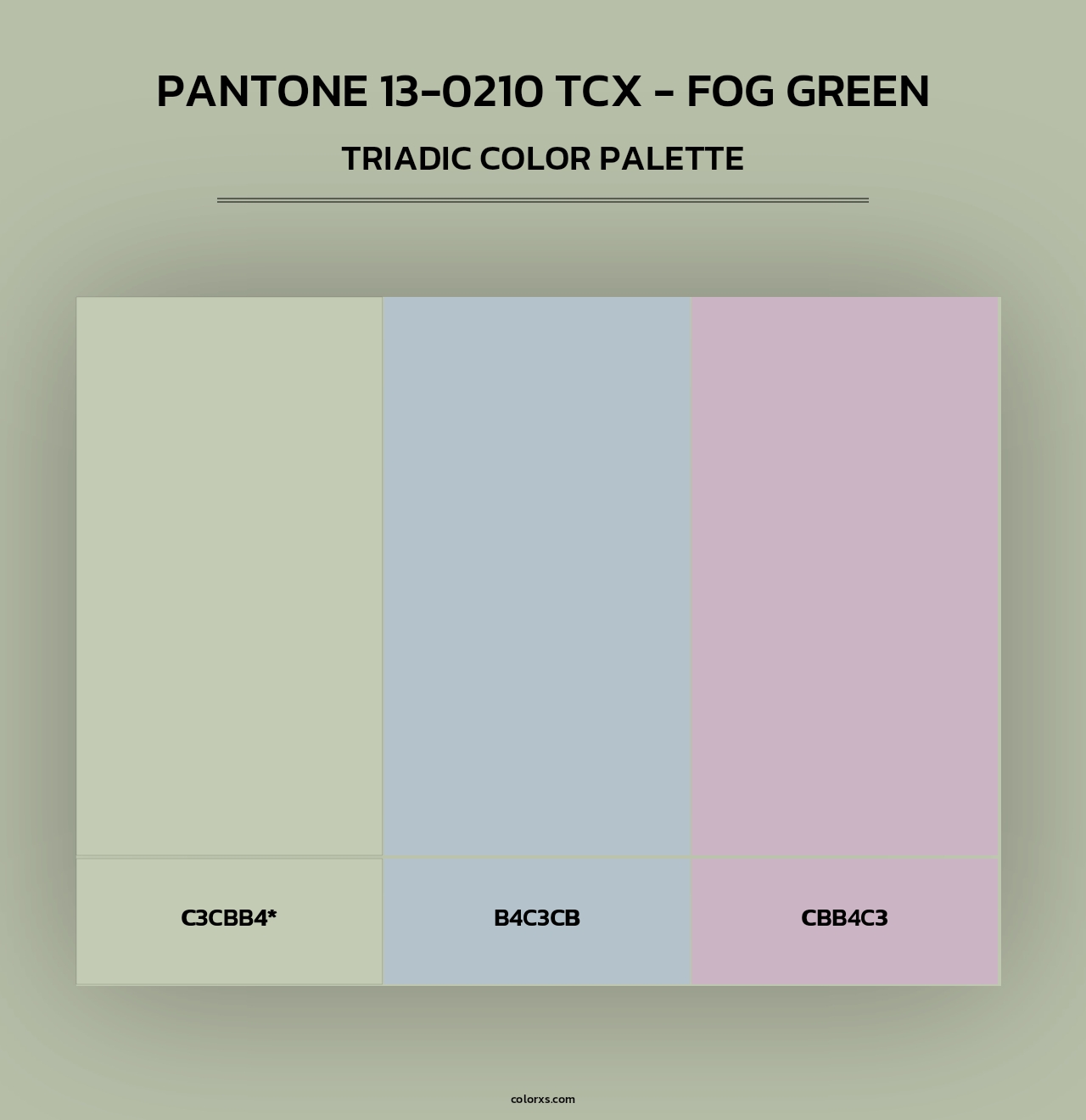 PANTONE 13-0210 TCX - Fog Green color palettes - colorxs.com