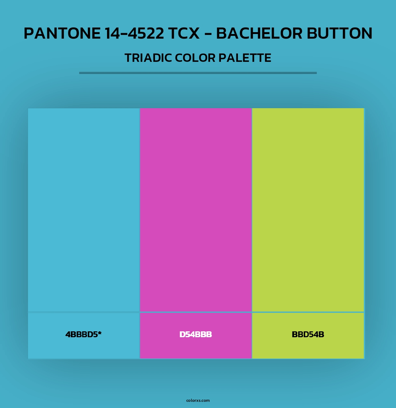 PANTONE 14-4522 TCX - Bachelor Button color palettes - colorxs.com