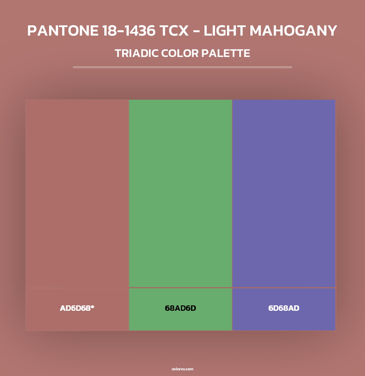 PANTONE 18-1436 TCX - Light Mahogany color palettes - colorxs.com