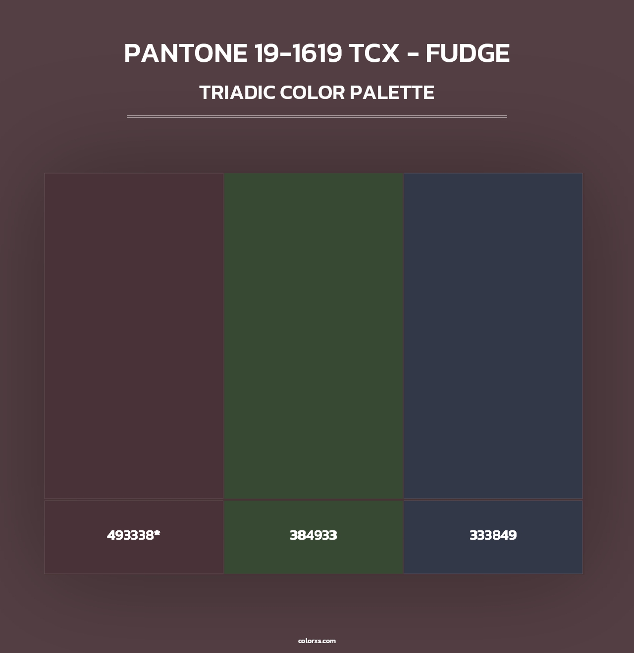 PANTONE 19-1619 TCX - Fudge color palettes - colorxs.com