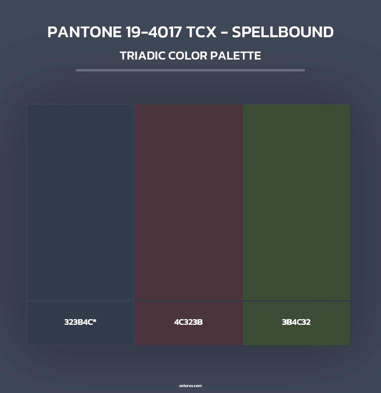 PANTONE 19-4017 TCX - Spellbound color palettes - colorxs.com