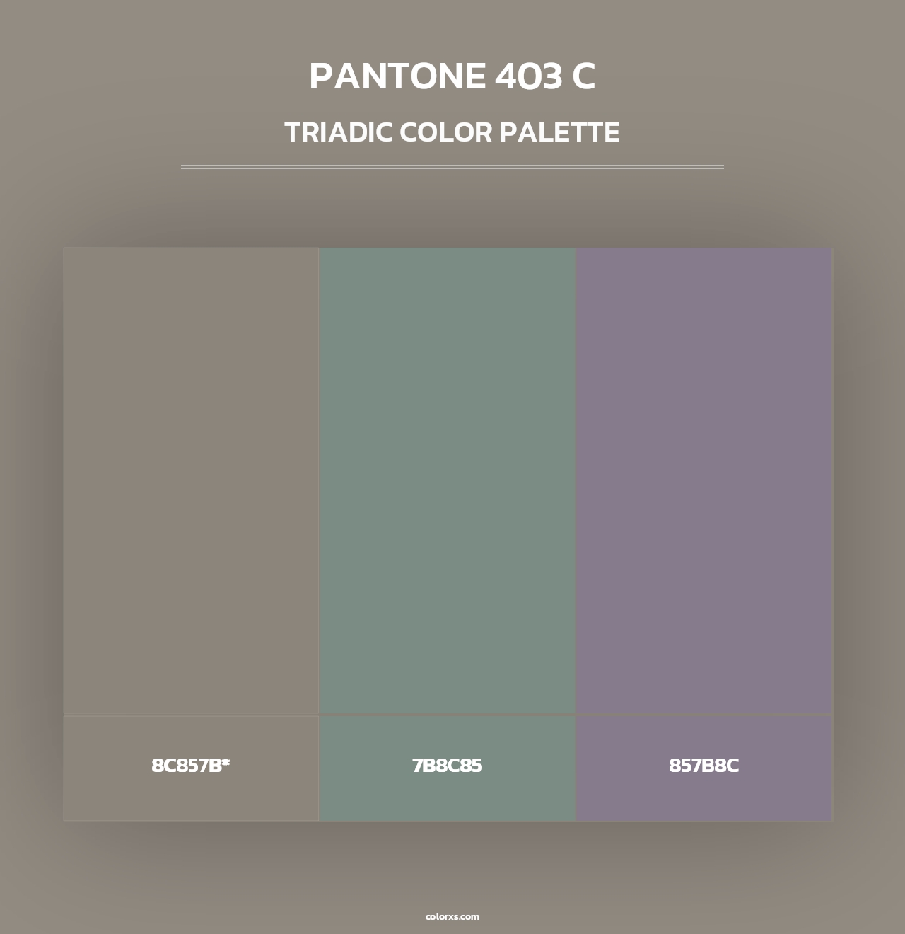 PANTONE 403 C color palettes - colorxs.com