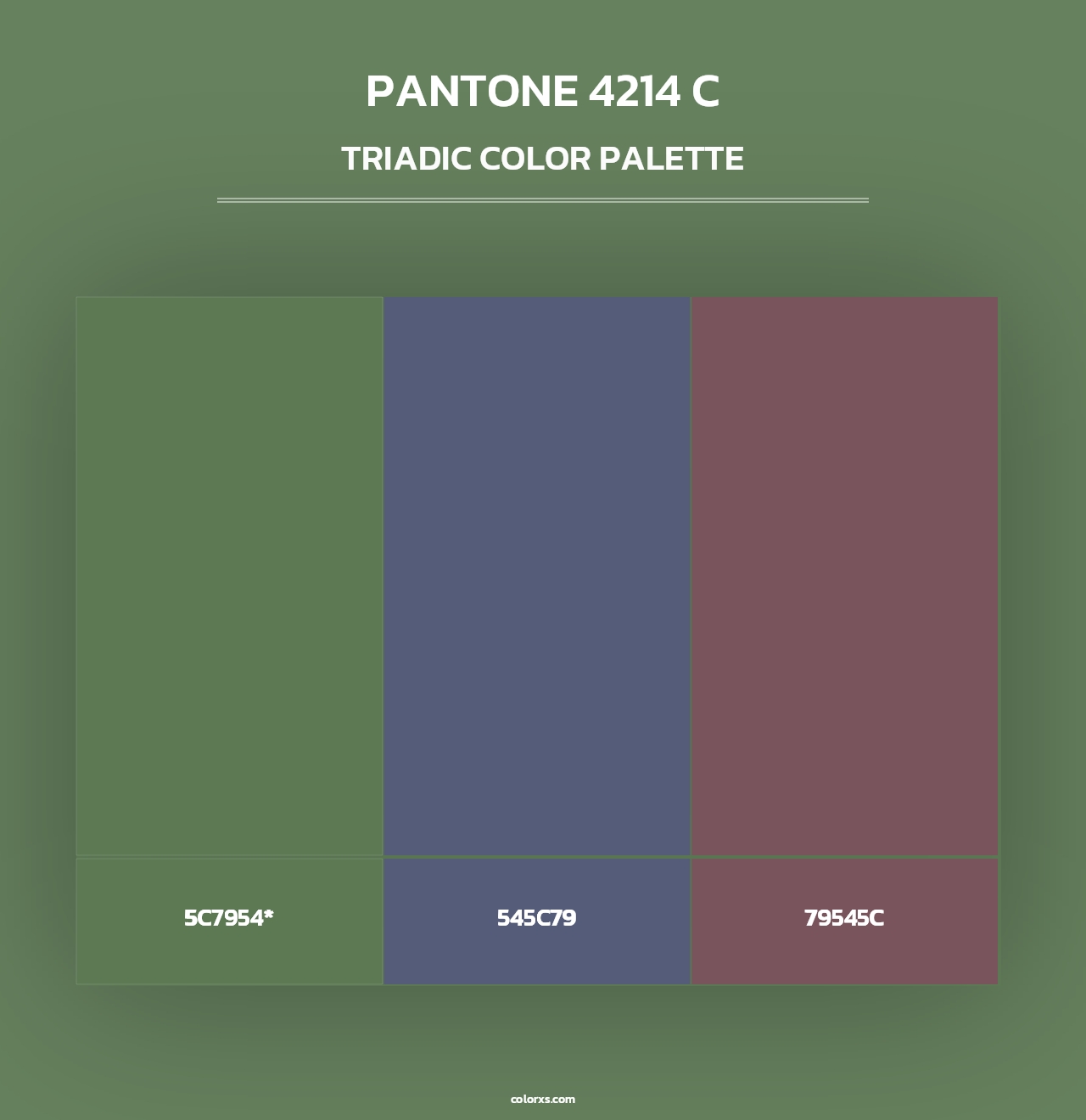 PANTONE 4214 C color palettes - colorxs.com