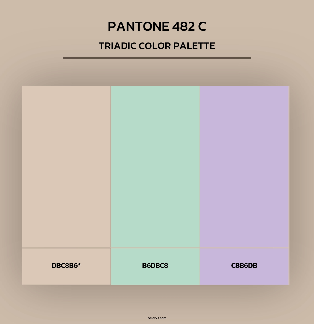PANTONE 482 C color palettes - colorxs.com