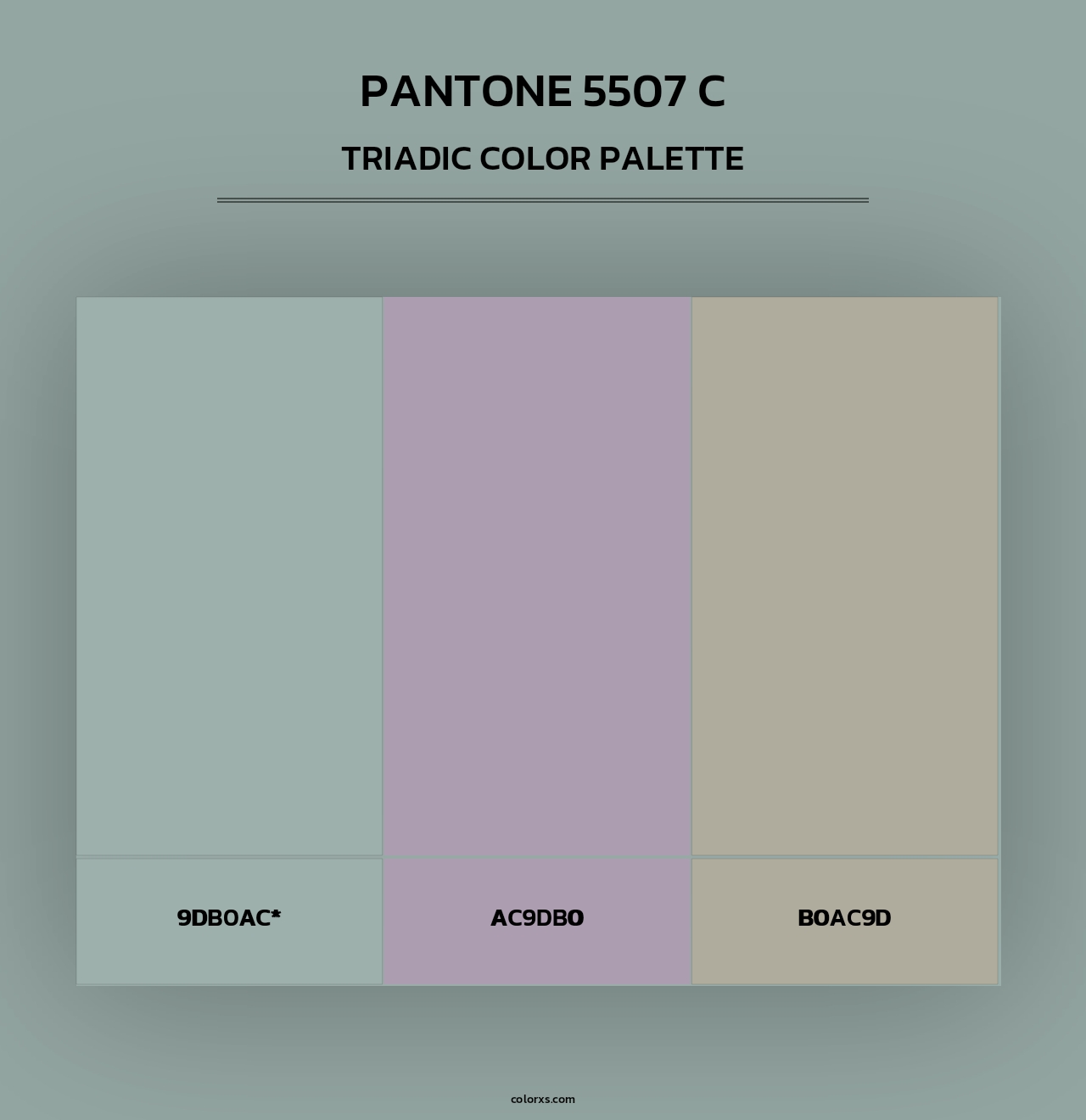 PANTONE 5507 C color palettes - colorxs.com