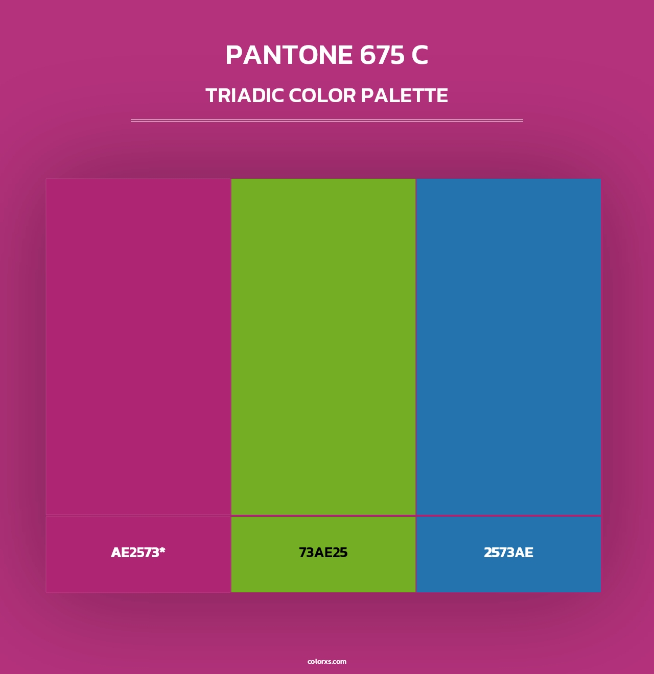 PANTONE 675 C color palettes - colorxs.com