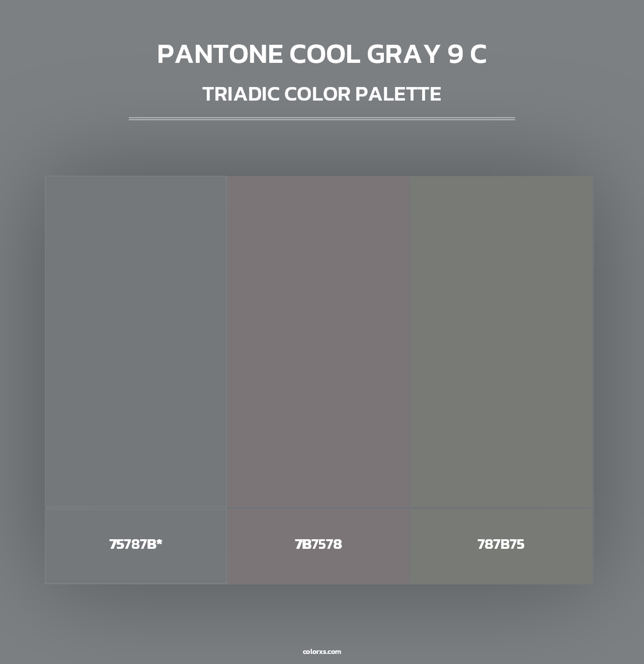 PANTONE Cool Gray 9 C color palettes - colorxs.com