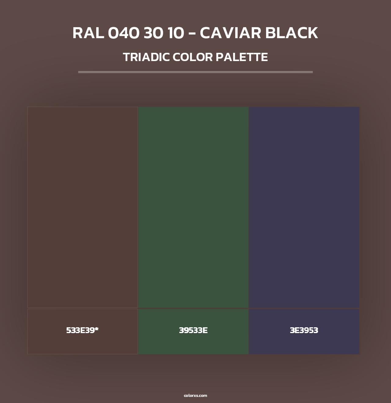 RAL 040 30 10 - Caviar Black color palettes - colorxs.com