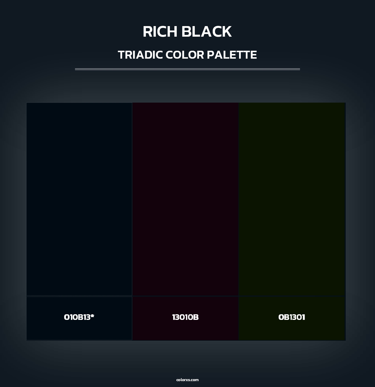 Rich Black color palettes - colorxs.com